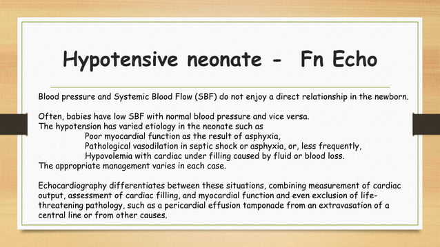 Functional echocardiography ppt | PDF | Heart and Cardiovascular Diseases | Diseases and Conditions