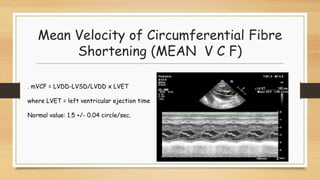 Functional echocardiography ppt | PDF