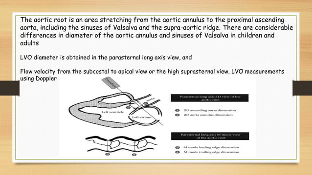 Functional echocardiography ppt | PDF | Heart and Cardiovascular Diseases | Diseases and Conditions