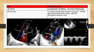 Functional echocardiography ppt | PDF