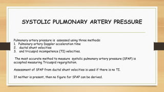Functional echocardiography ppt nov 2020 | PDF