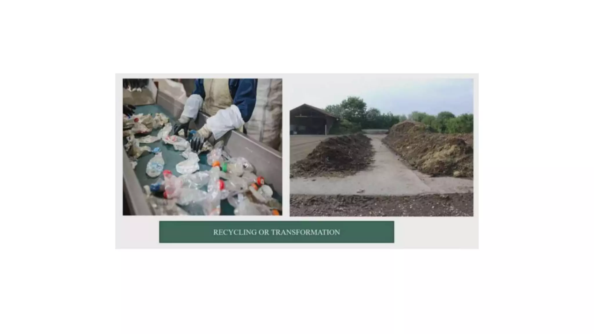 Functional Elements of SWM.pptx