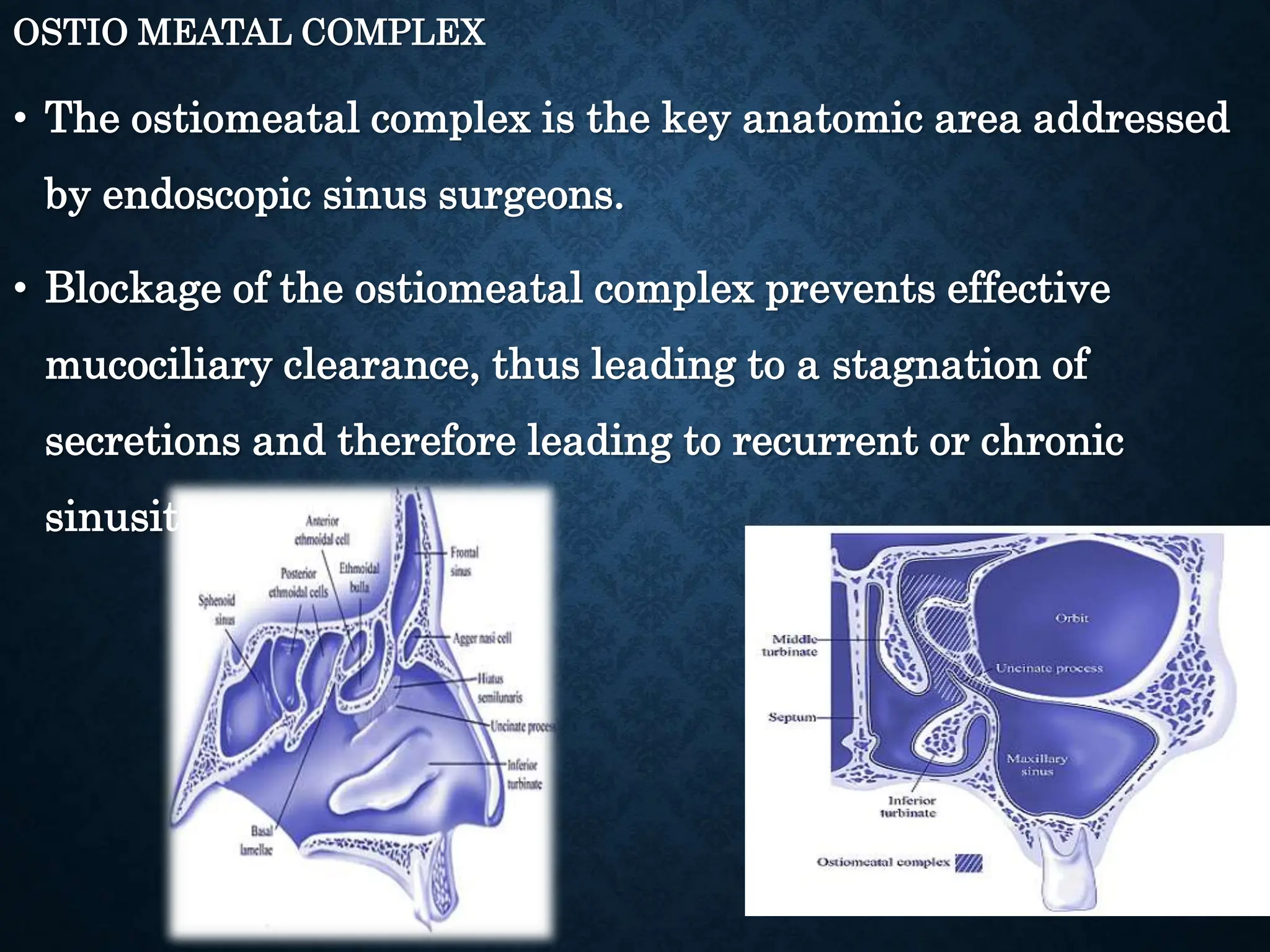 functionalendoscopicsinussurgery-180501021406.pptx