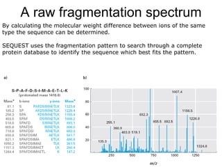 Functional genomics | PPT