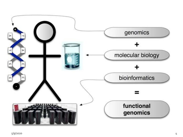 Functional genomics, and tools | PPTX | Biotech and Biomedical Industry | Industries