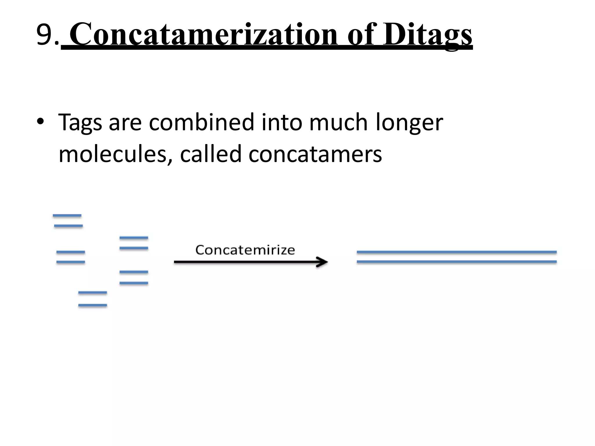 Functional Genomics Ppt