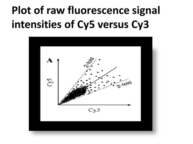 Functional Genomics Ppt