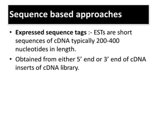 Functional genomics | PPT