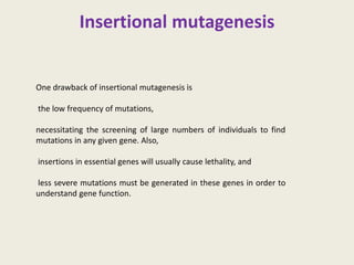 Functional genomics, a conceptual approach | PPTX