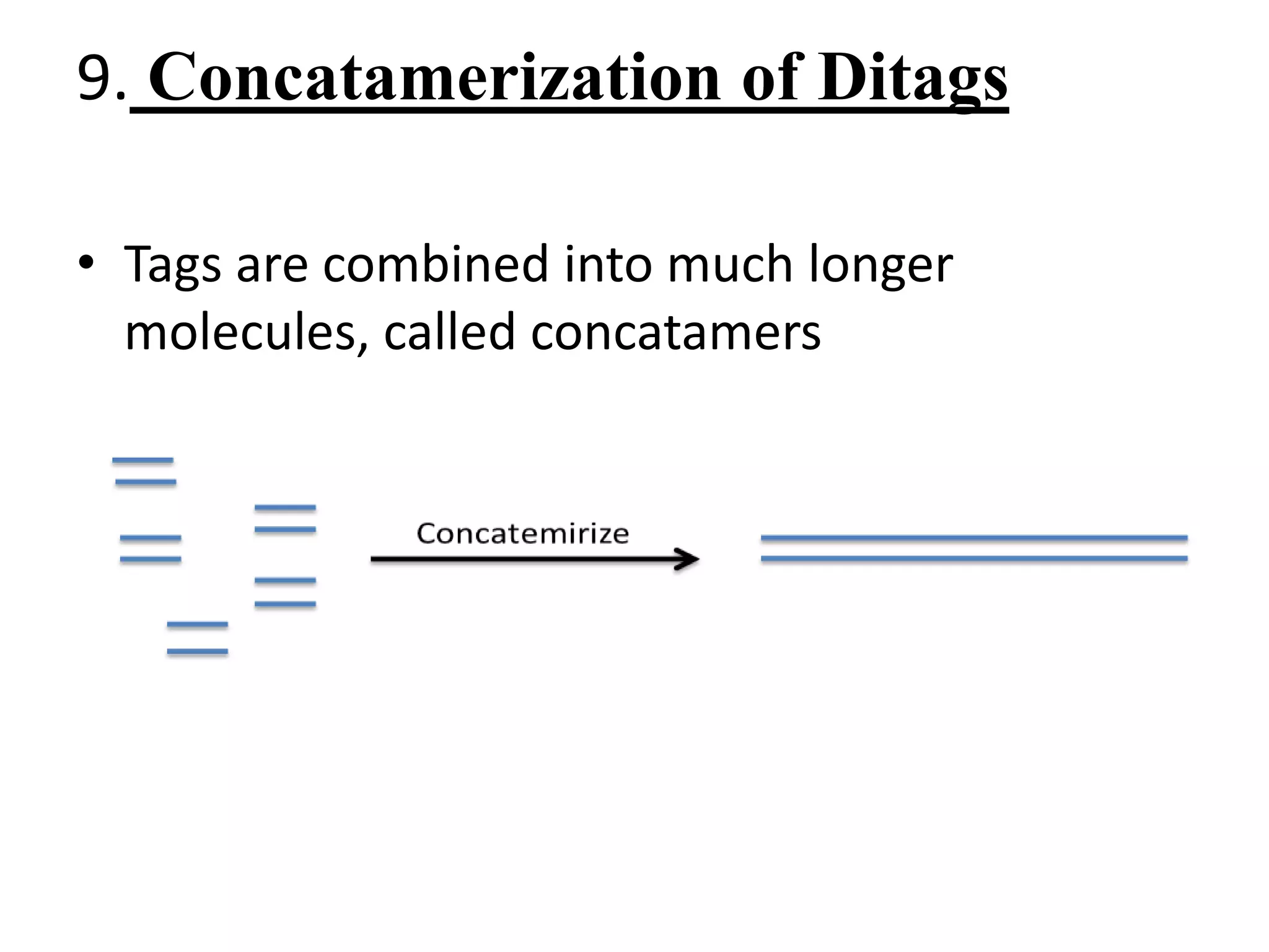 Functional genomics | PPTX