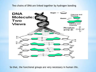 Functional group | PPTX