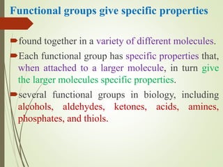 Functional group in Biiology | PPTX