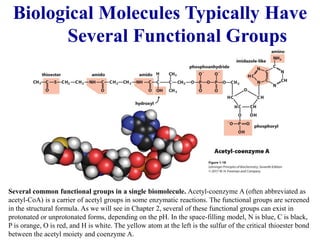 Functional Groups final biochemistry clinical medicine | PDF