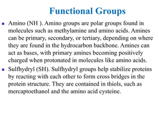 Functional Groups final biochemistry clinical medicine | PDF