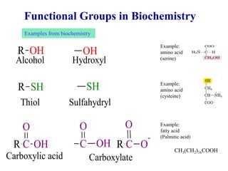 Functional Groups final biochemistry clinical medicine | PDF