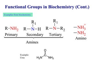 Functional Groups final biochemistry clinical medicine | PDF