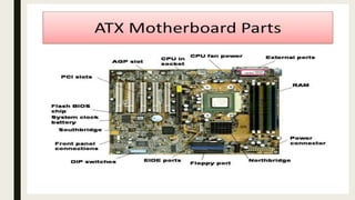 Functional hardware of pc | PPTX