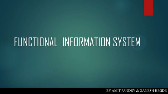 Functional information system | PPTX
