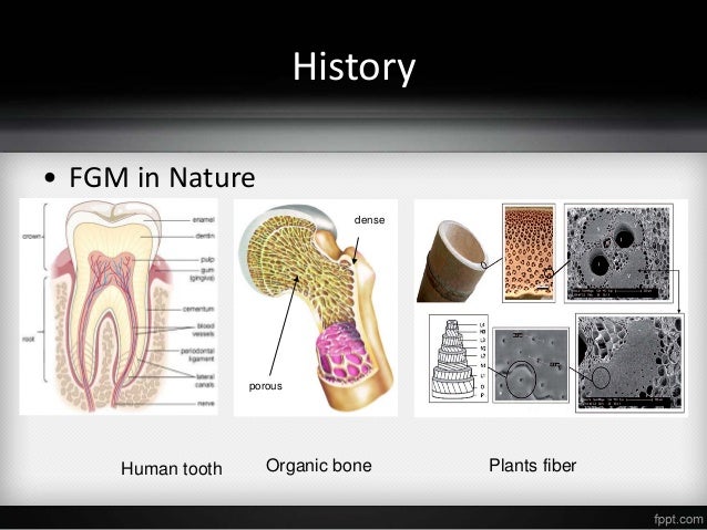 Functionally graded materials (FGM) - an overview
