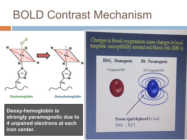 Functional magnetic resonance imaging-fMRI | PPTX