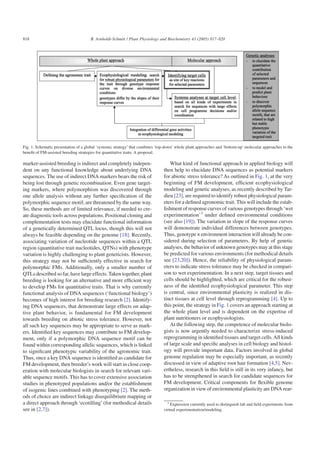 Functional markers2005 | PDF