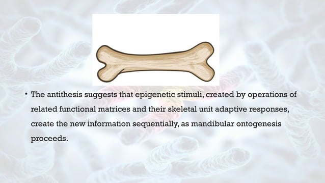 Functional matrix revisited 3 and 4 by Melvin moss | PPTX