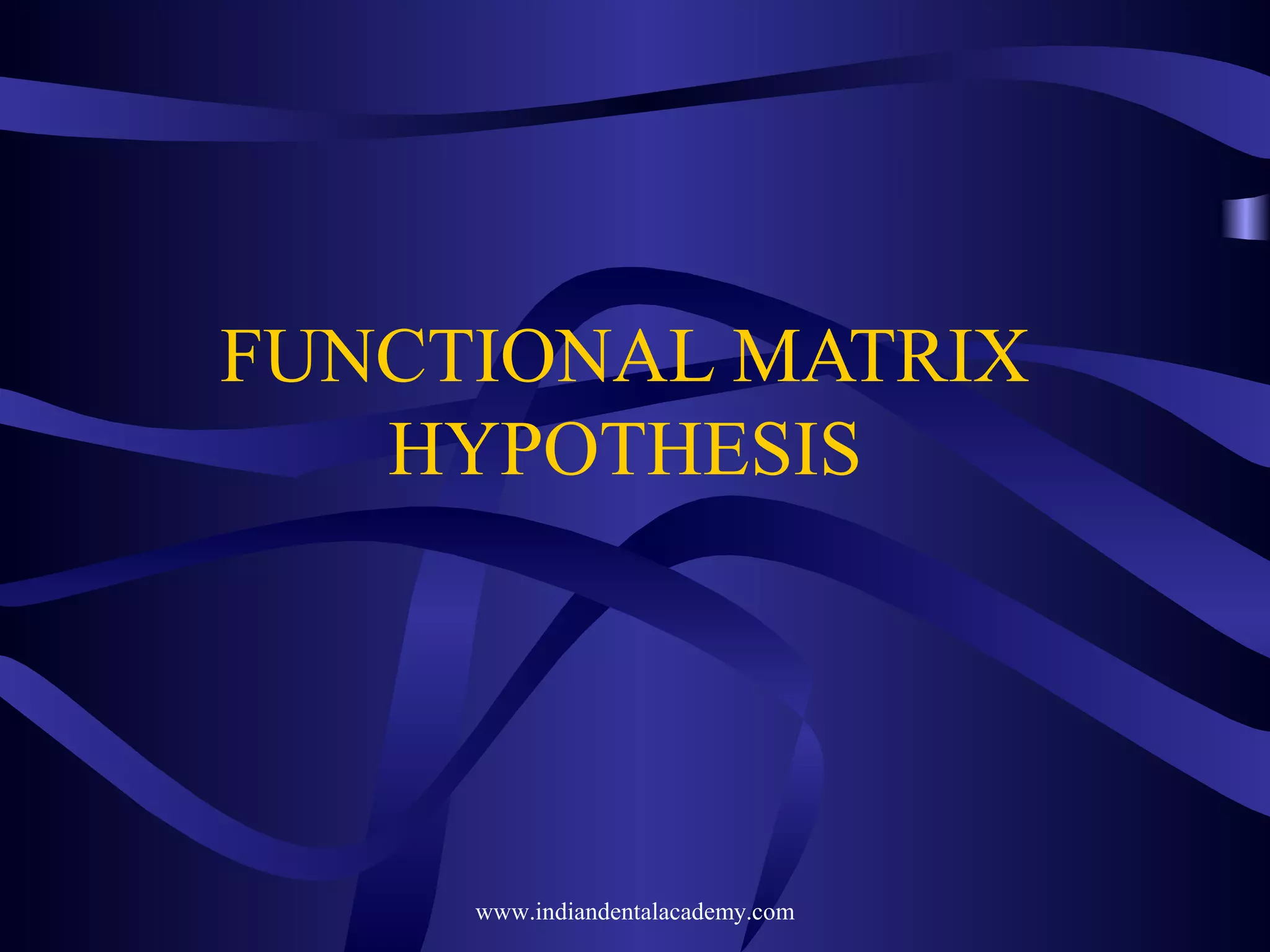 Functional matrix hypothesis | PPT