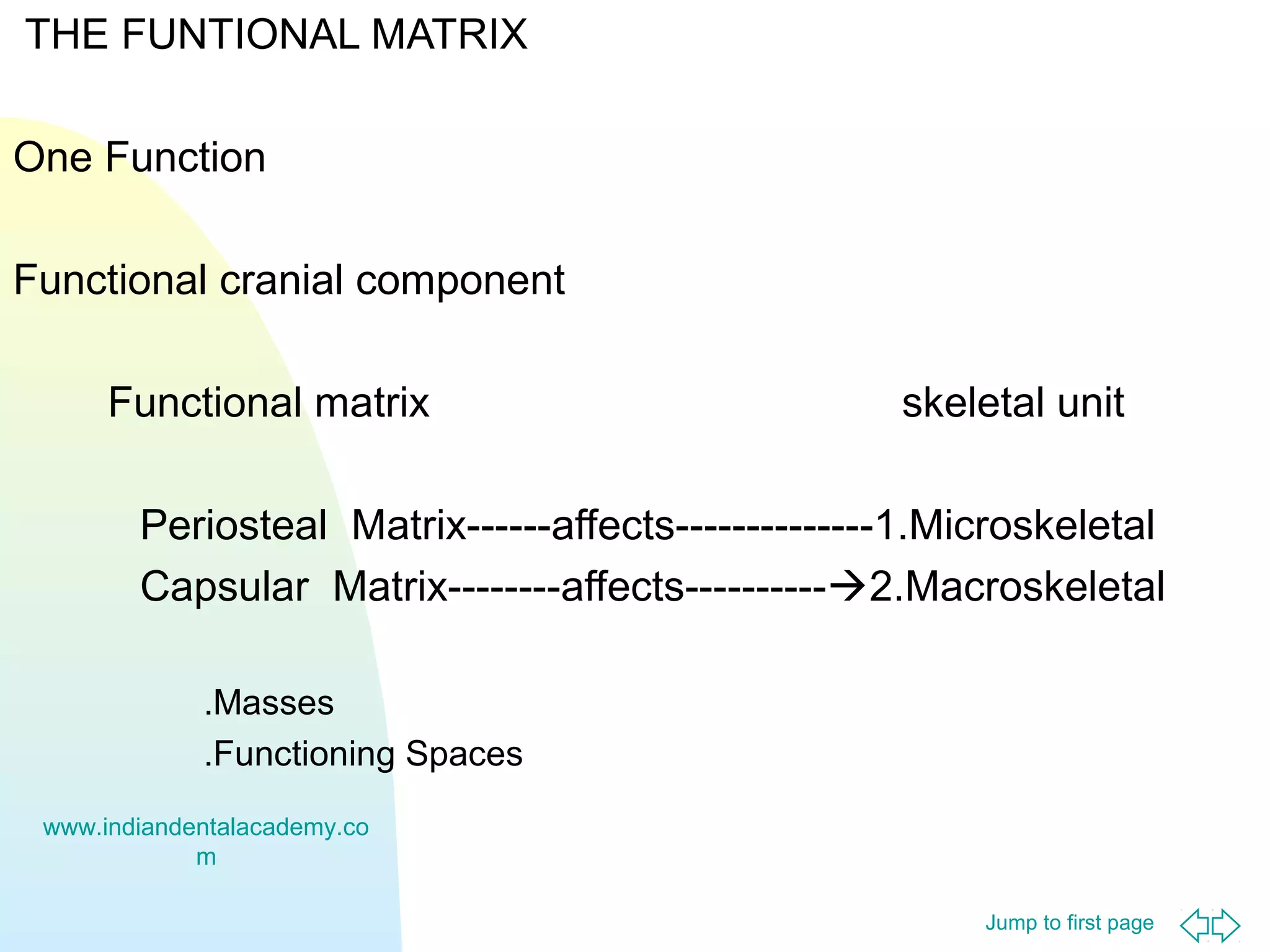 Functional matrix theory | PPT