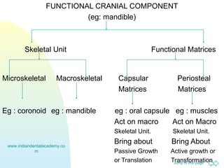 Functional matrix theory | PPT