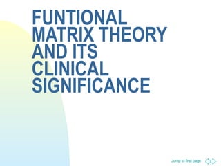 Functional matrix theory | PPT