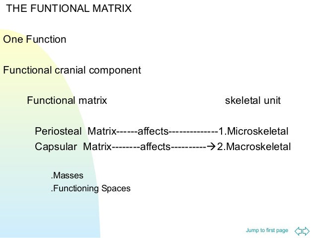 Functional matrix theory