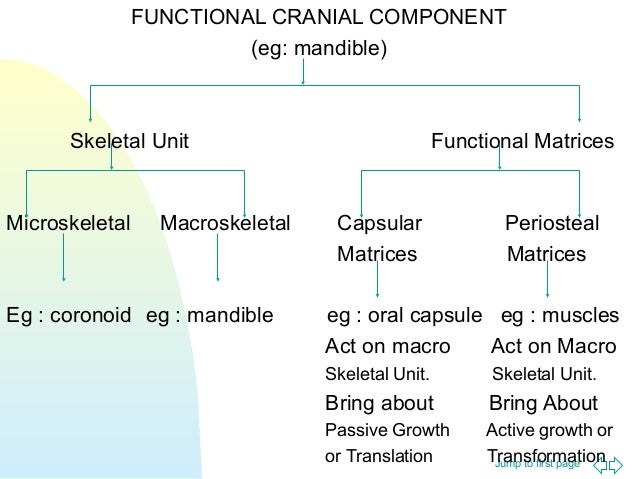 Functional matrix theory