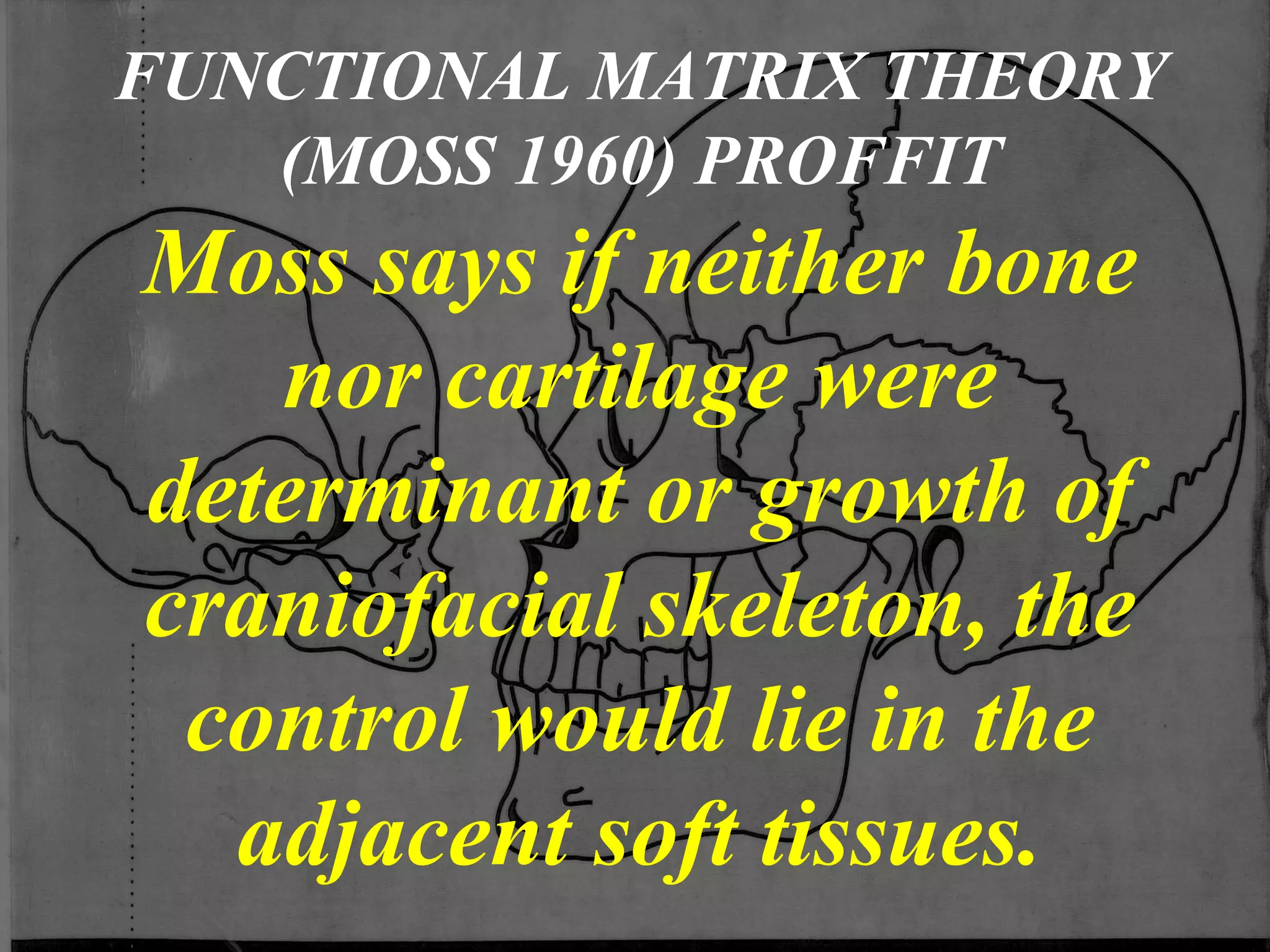 Functional Matrix Theory Ppt