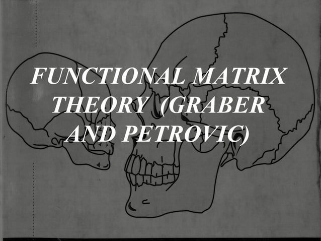 Functional matrix theory | PPT