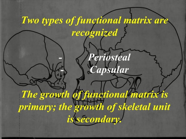 Functional matrix theory | PPT