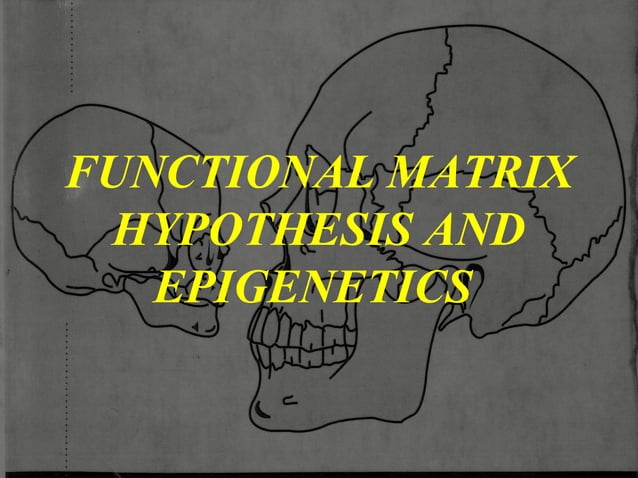 Functional matrix theory | PPT