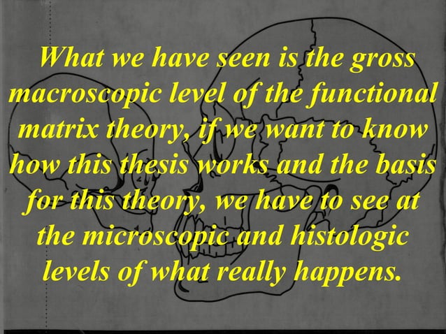Functional matrix theory | PPT
