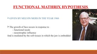 FUNCTIONAL MATRIX THEORY in orthodontics | PPTX