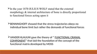 FUNCTIONAL MATRIX THEORY in orthodontics | PPTX