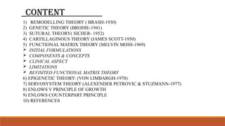 FUNCTIONAL MATRIX THEORY in orthodontics | PPTX