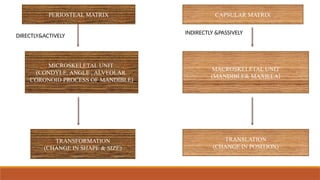 FUNCTIONAL MATRIX THEORY in orthodontics | PPTX