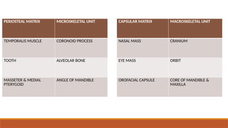 FUNCTIONAL MATRIX THEORY in orthodontics | PPTX