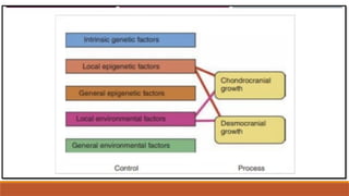 FUNCTIONAL MATRIX THEORY in orthodontics | PPTX