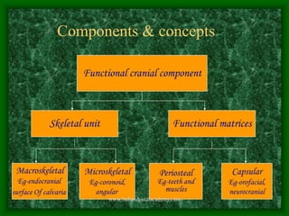 Functional matrix theory/certified fixed orthodontic courses by India…