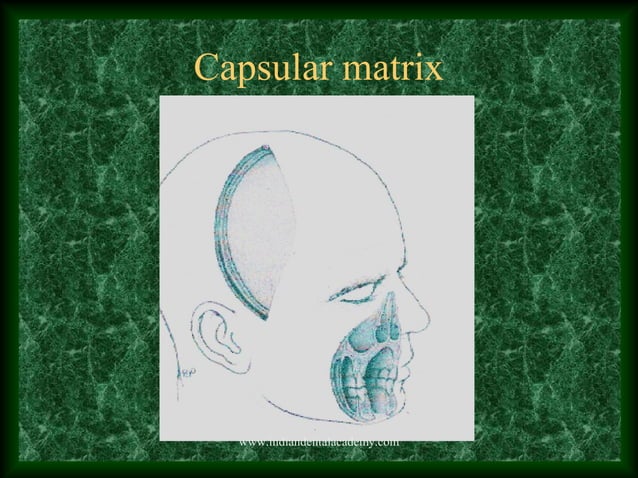 Functional matrix theory | PPT | Ear, Nose and Throat Conditions ...