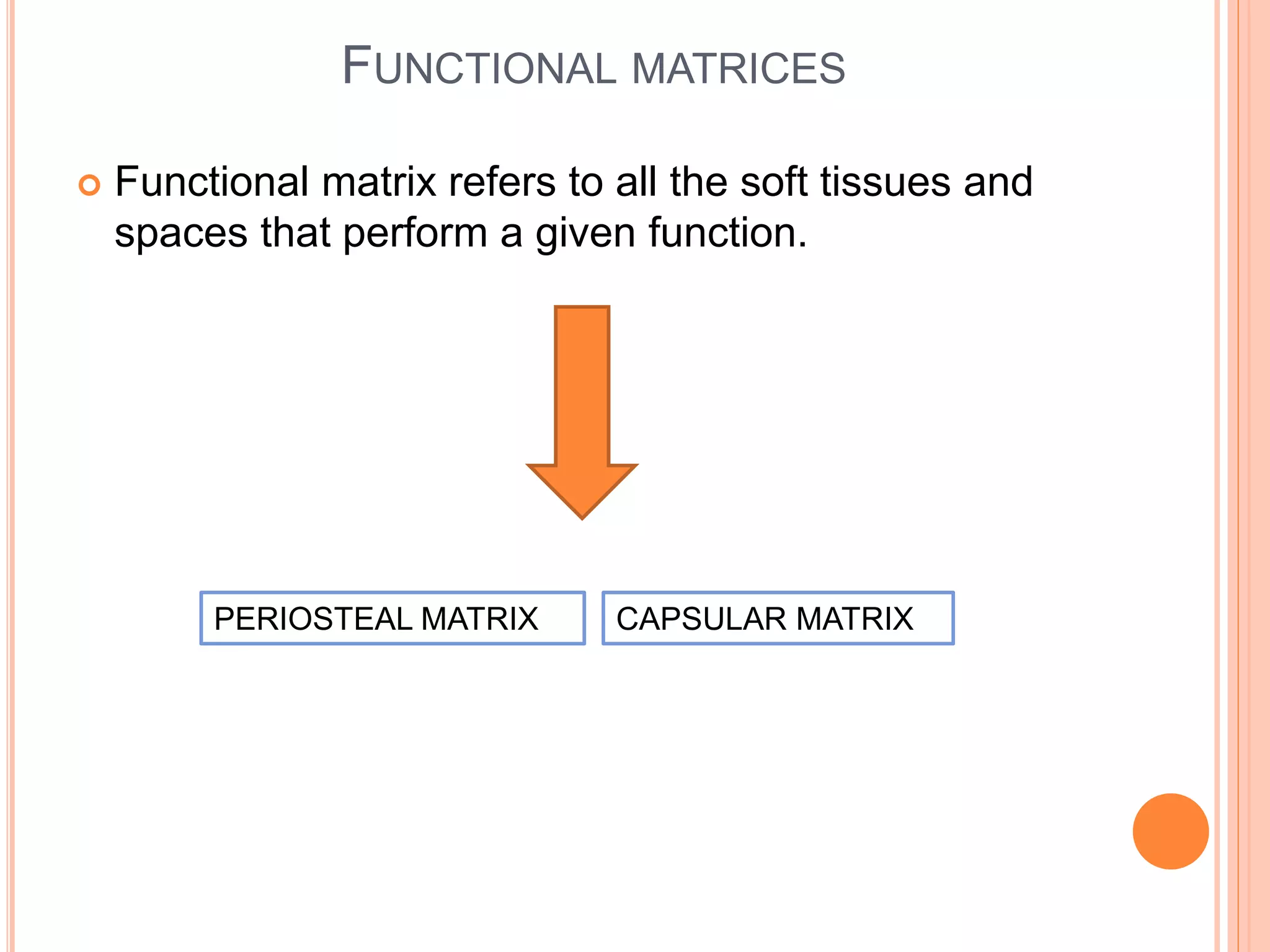 Functional Matrix Theory | PPTX