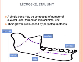 Functional Matrix Theory | PPTX