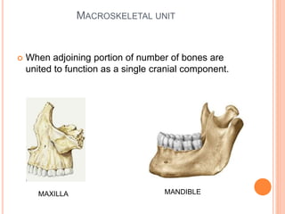 Functional Matrix Theory | PPTX