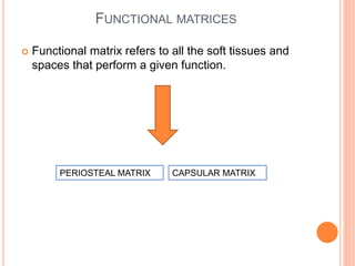 Functional Matrix Theory | PPTX