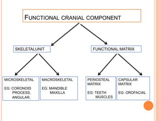 Functional Matrix Theory | PPTX | Bone and Joint Conditions | Diseases ...